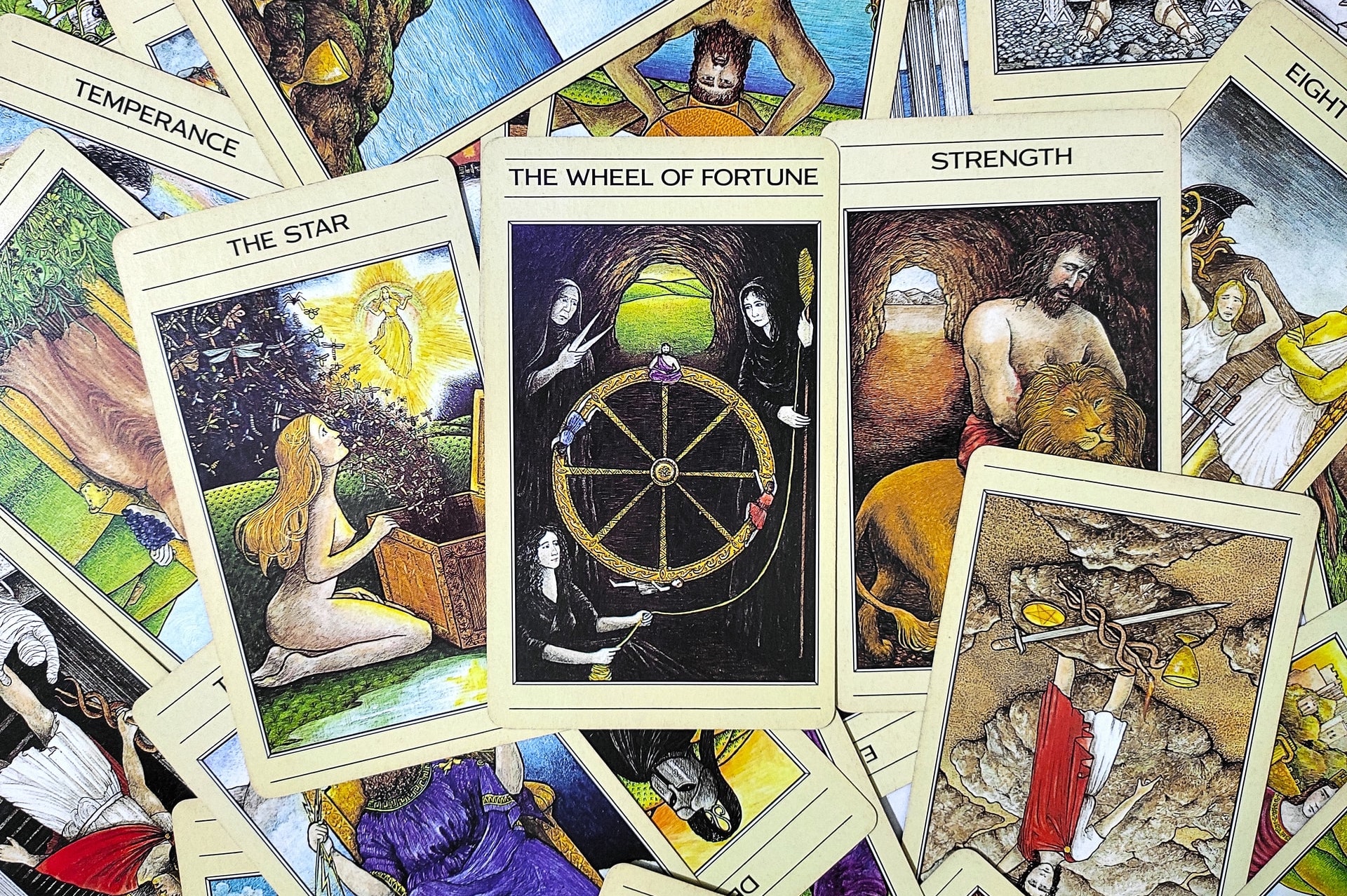 Cognitive Biases - Part 06: Forer Effect | Arjun Uvacha